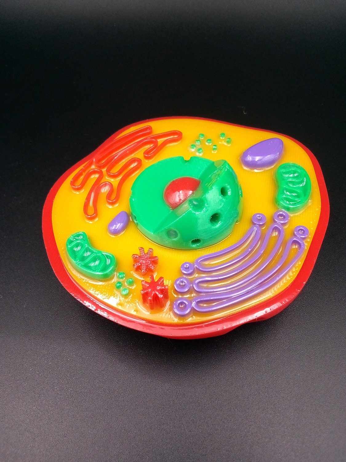 Plant Animal Cell Cells Cellular Micro Biology Sculpture Cut - Etsy