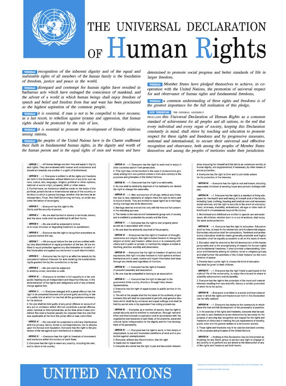 Declaration Of Human Rights Poster