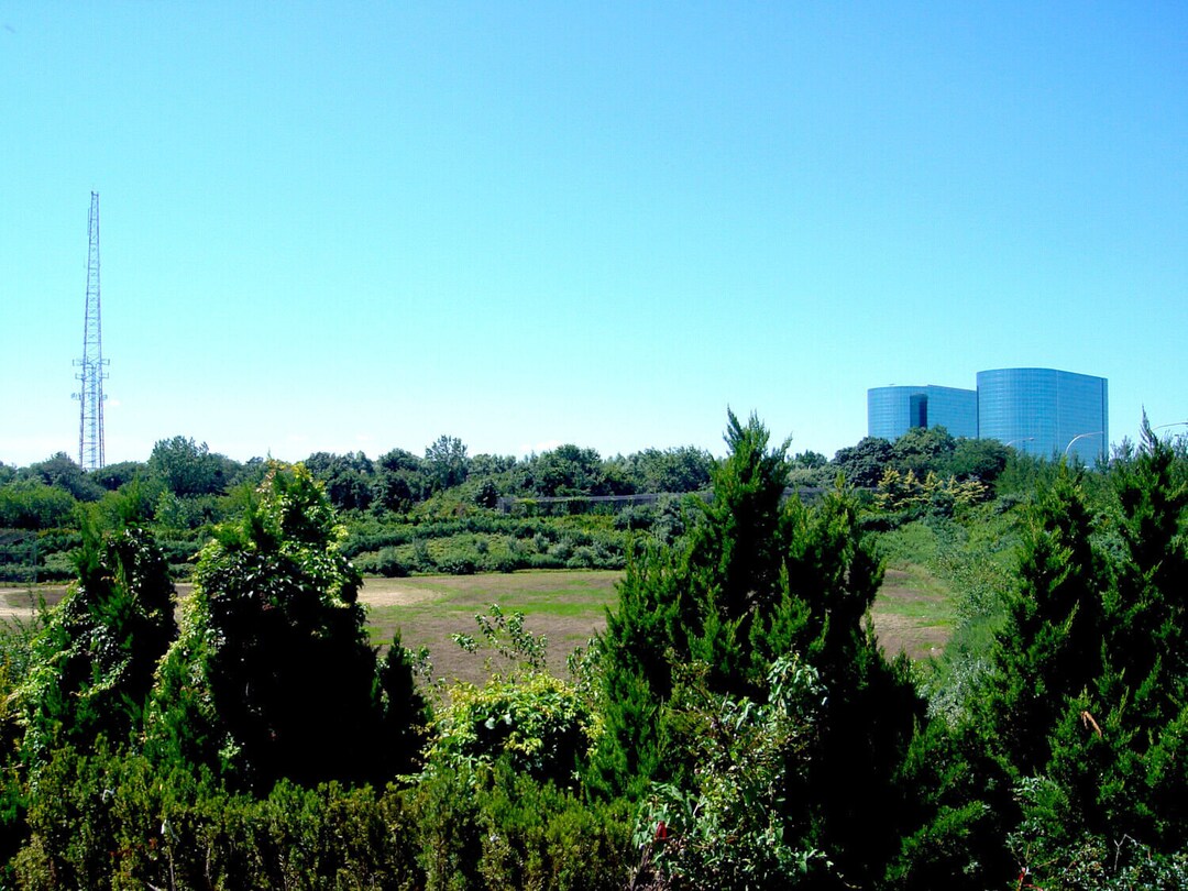 RXR Plaza Reckson RXR Twin Towers TV Tower Field Photo Poster Print 18 ...