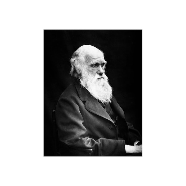Charles Darwin - Etsy