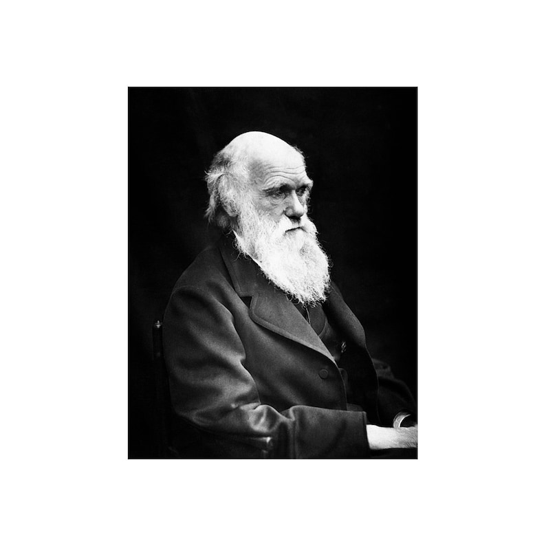 Charles Darwin Old Age Portrait Photo Art Poster Print - Etsy
