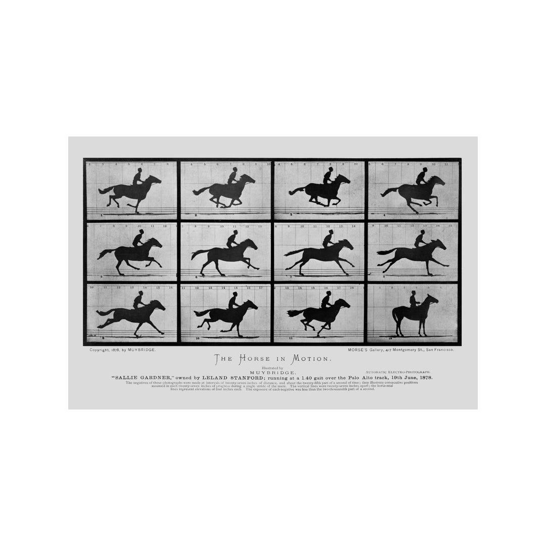 The Horse in Motion Running Hooves Frames Photo Poster Art Print - Etsy