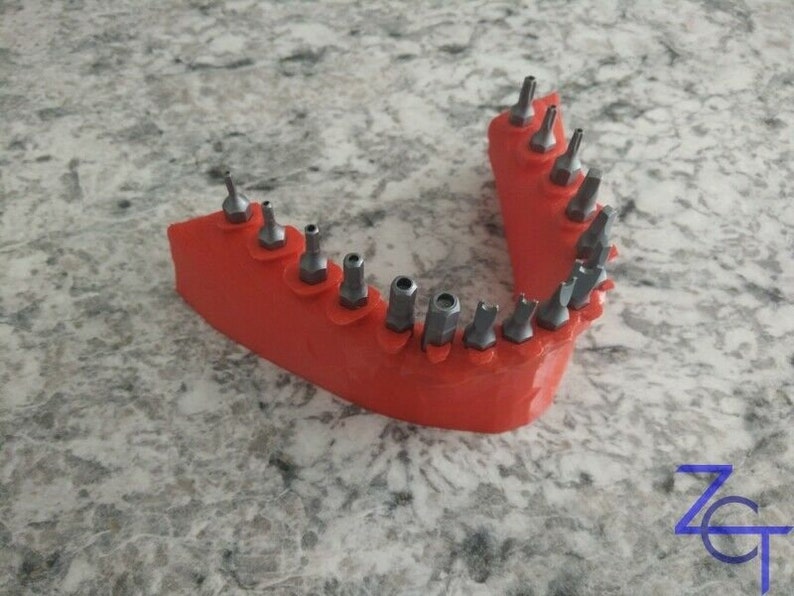 Human Jaw Bone Hex Screwdriver Bit Holder Organizer 3D Printed - Etsy
