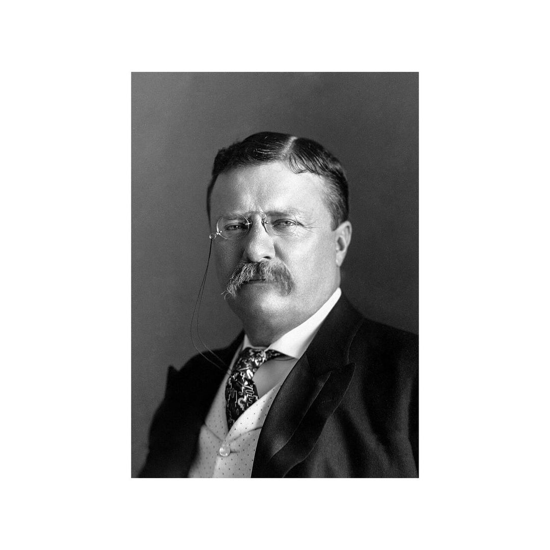 President Theodore Roosevelt 1904 Portrait Photo Photograph Art Print ...