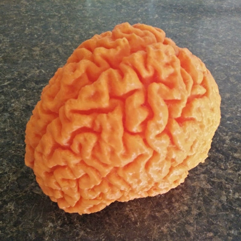 Brain Sculpture - Etsy
