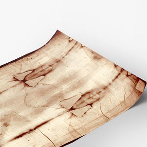 Full Shroud of Turin Jesus Christ Burial Cloth Photo Poster Art Print ...