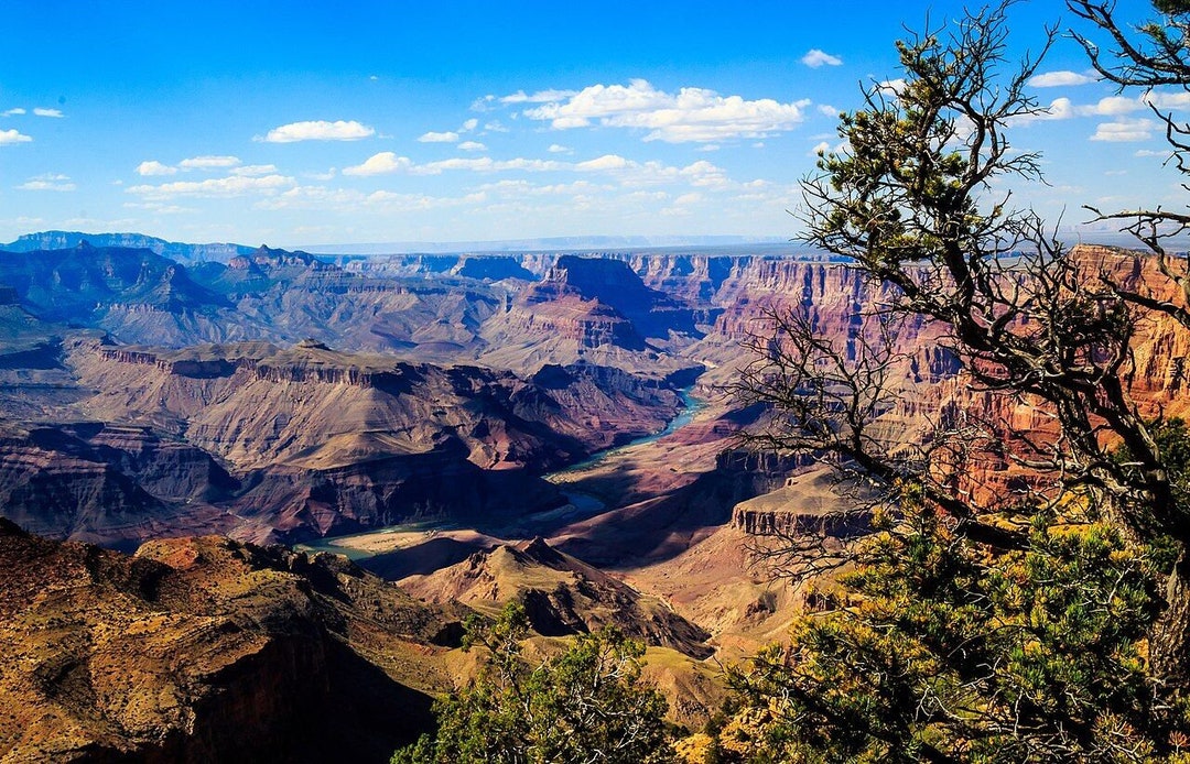 Grand Canyon Colorado River Landscape Tree Sky Desert Photo Poster Art ...