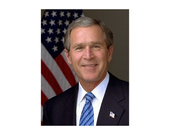 George W Bush Official Portrait PHOTO, Art Print, US President White ...