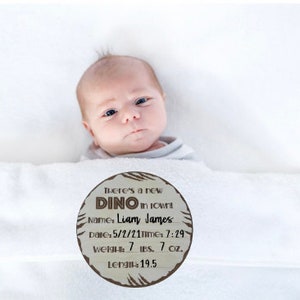 Dinosaur Baby Birth Announcement Sign, Photo Prop - Etsy