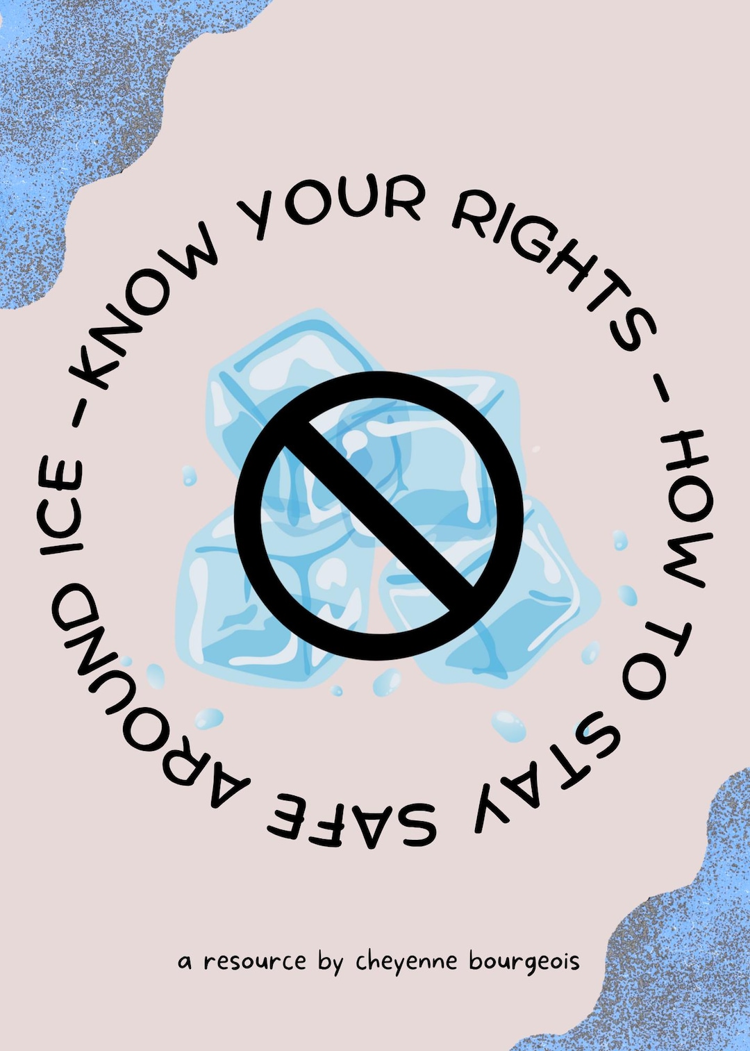 Know Your Rights - Stay Safe Around ICE Zine | Digital Download - Etsy
