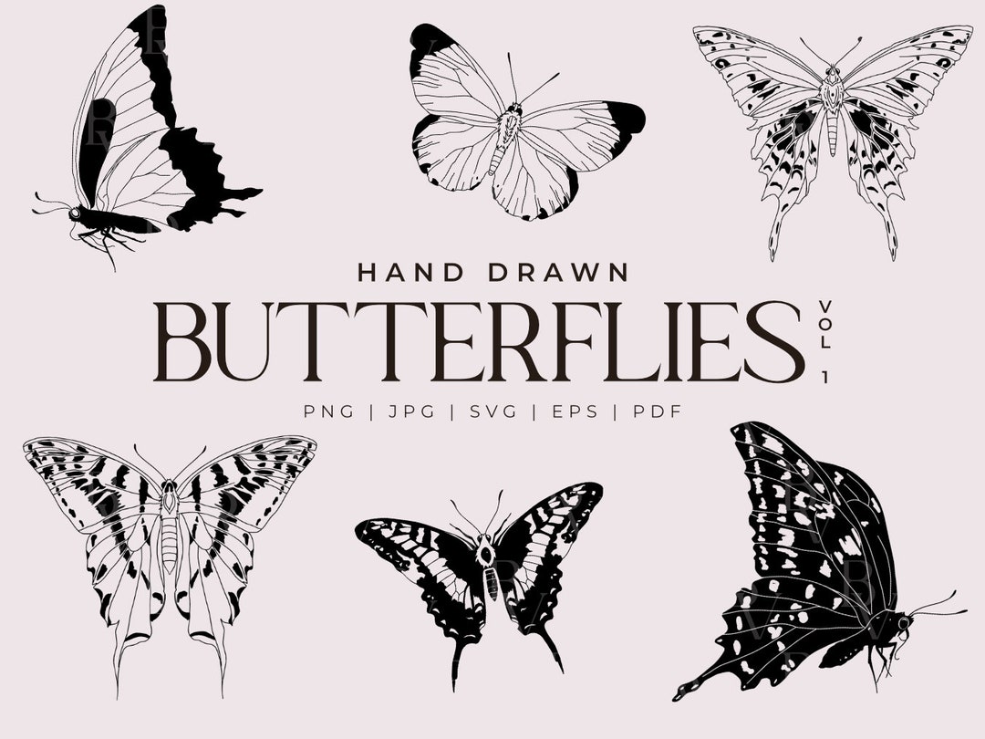 Butterfly Clipart, Butterfly SVG, Hand Drawn Butterflies, Vector ...