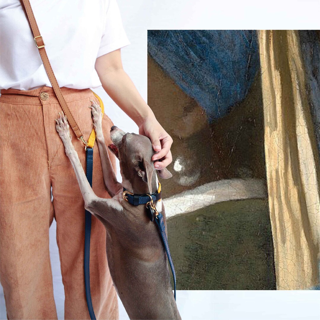 Musée Multifunction Adjustable Length Pet Leash Crossbody - Etsy