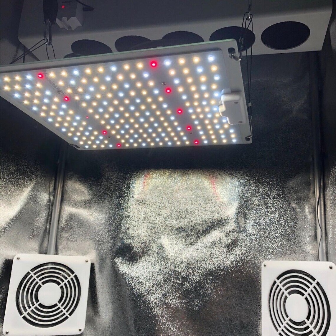 Flo QUANTUM Tent 60x60x160cm Growbox Set - Etsy