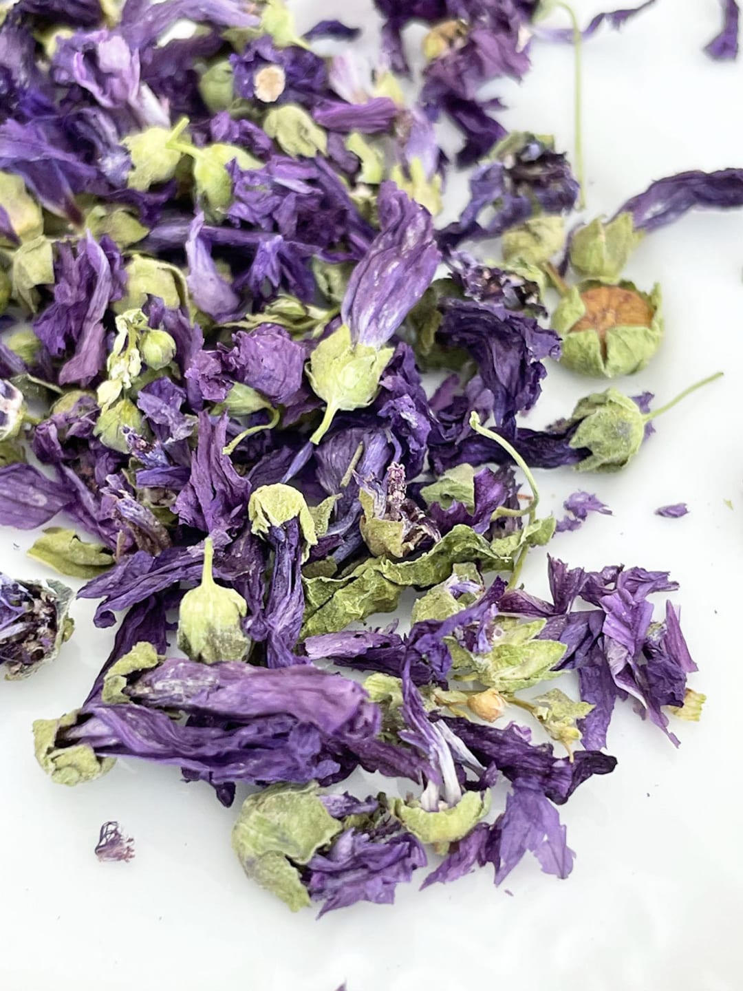 Dried Mallow, Dried Flowers for Resin Jewelry, Hand Pressed, Real Dried ...