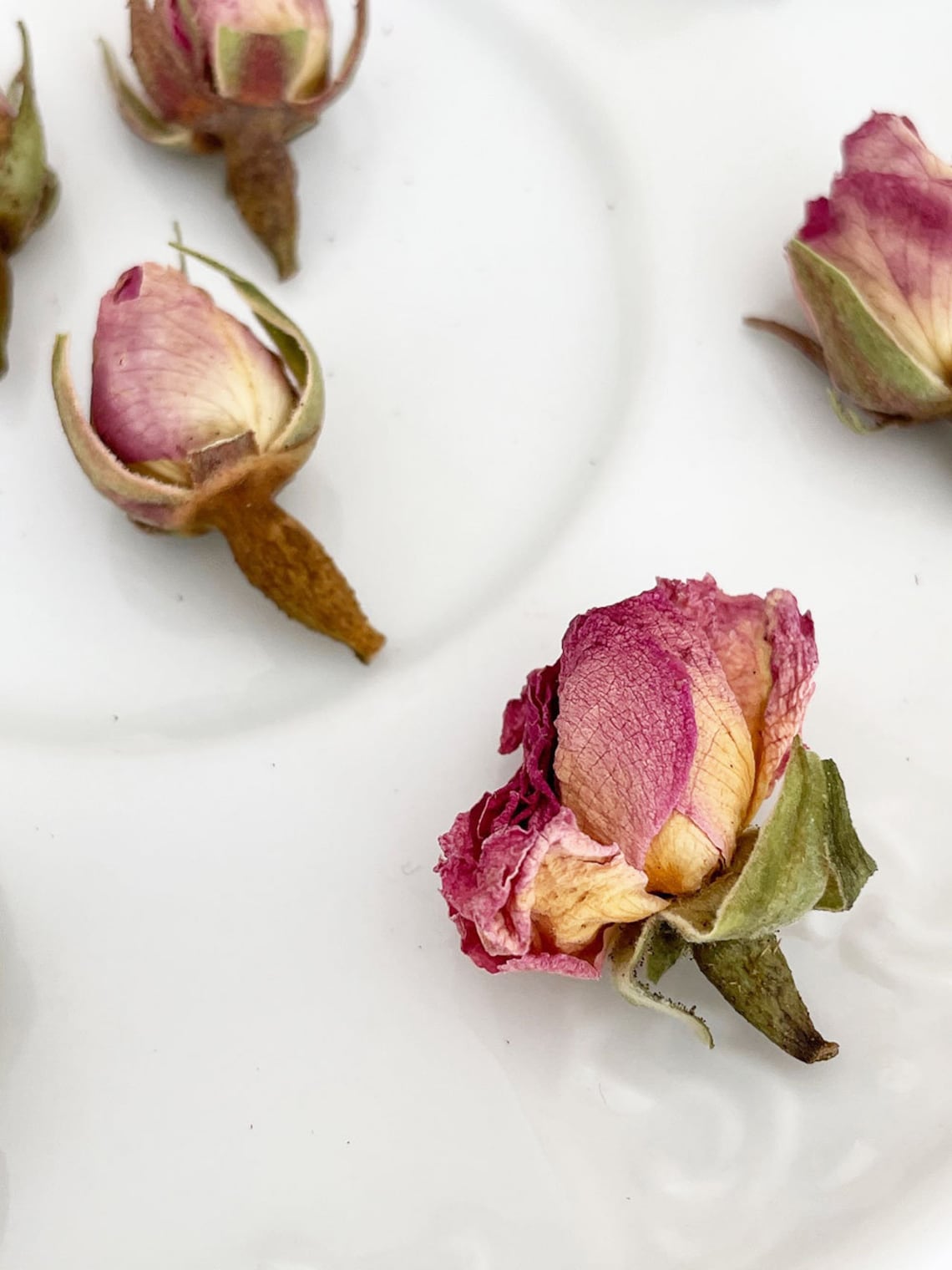 Boutons de rose séchés rose rose fleurs séchées de 10 pcs | Etsy