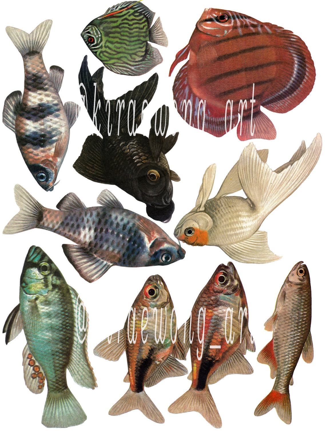 Vintage Fish Imagery Set 2, Collage Stock Photo, Journaling, Printable ...