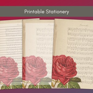 Vintage Rose Printable Journal Paper, Rose Lined and Unlined Stationery ...