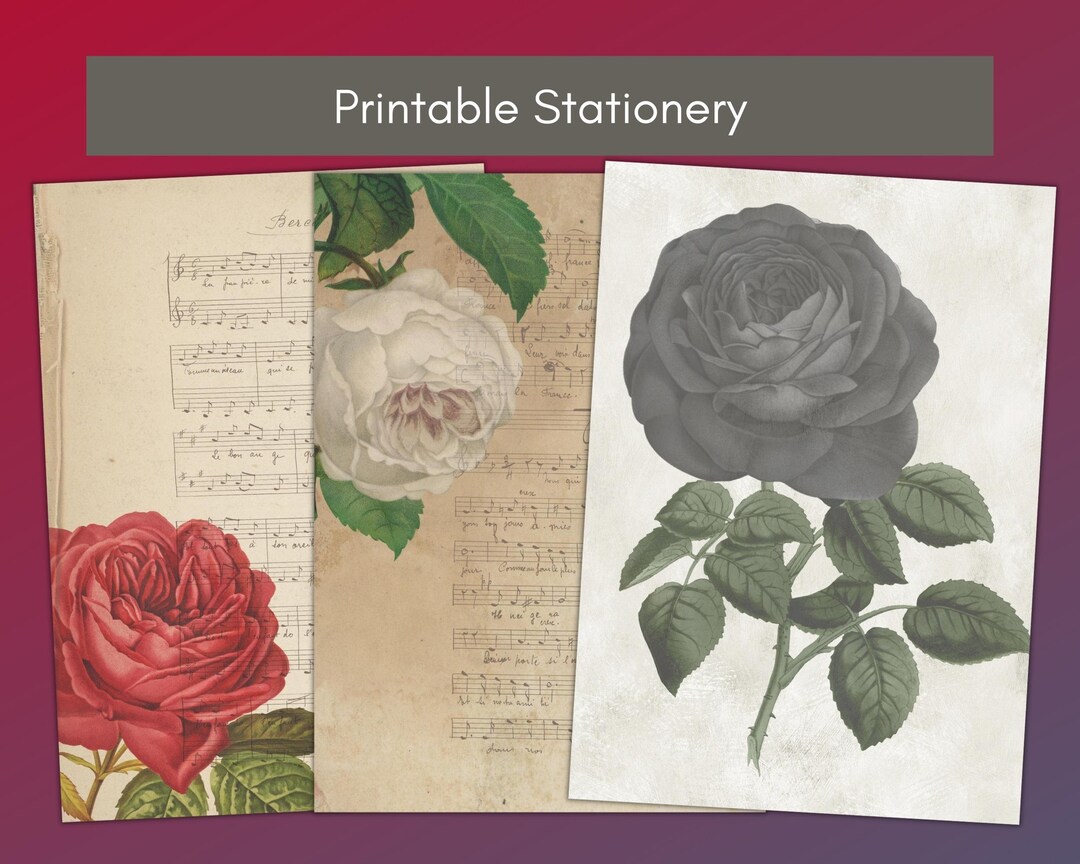 Vintage Rose Printable Journal Paper, Rose Lined and Unlined Stationery ...