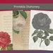 Vintage Rose Printable Journal Paper, Rose Lined and Unlined Stationery ...