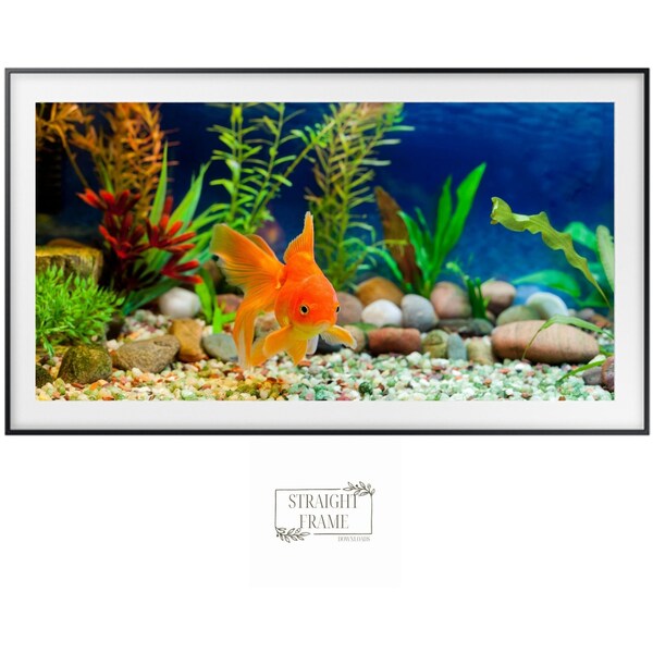 Fish Tank - Etsy