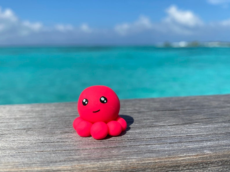 Kawaii Desk Decor, Fidget Toy, Octopus Desk Buddy for Stress Relief ...