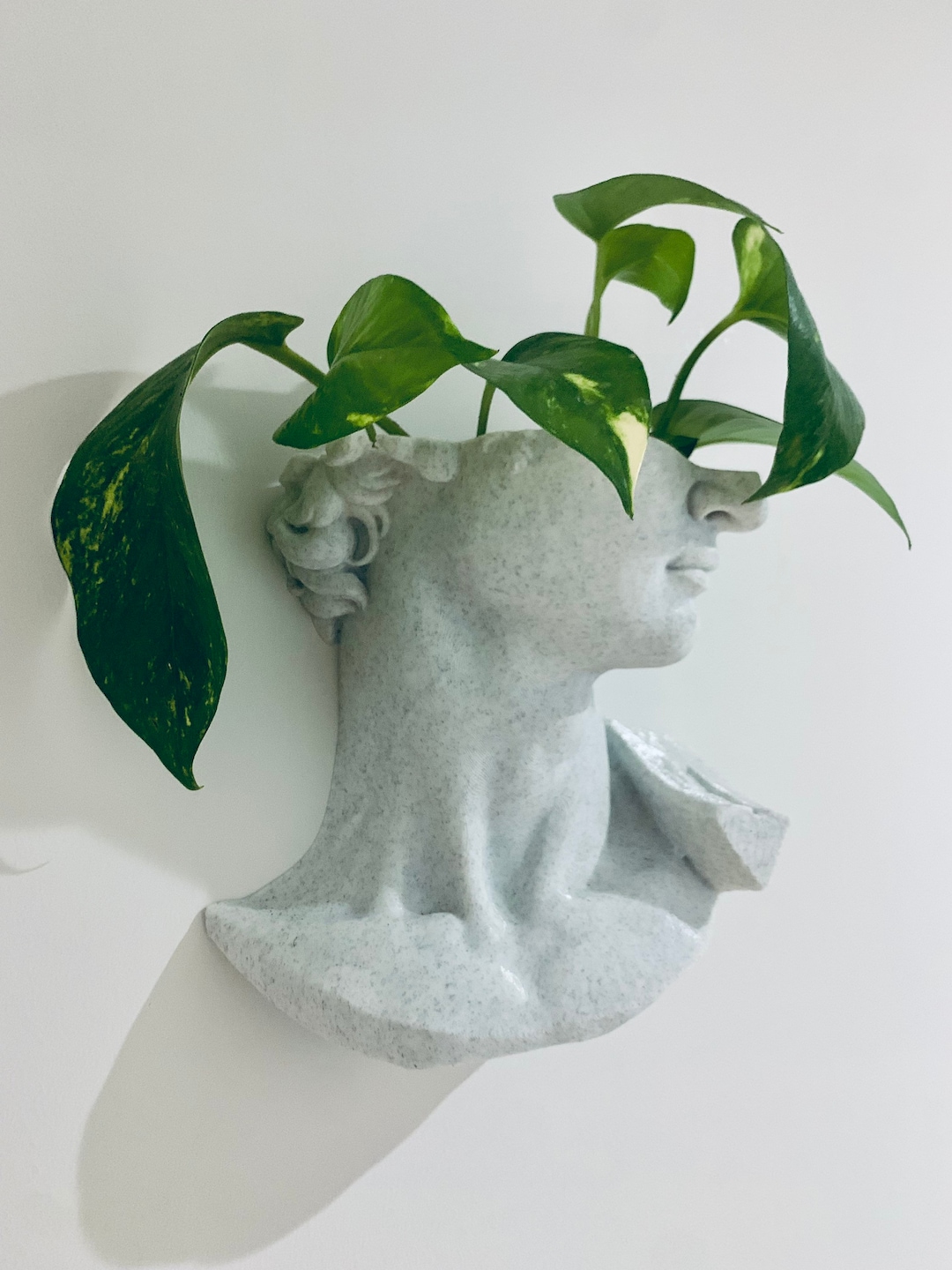 Wall Hanging David Planter Pot - Etsy