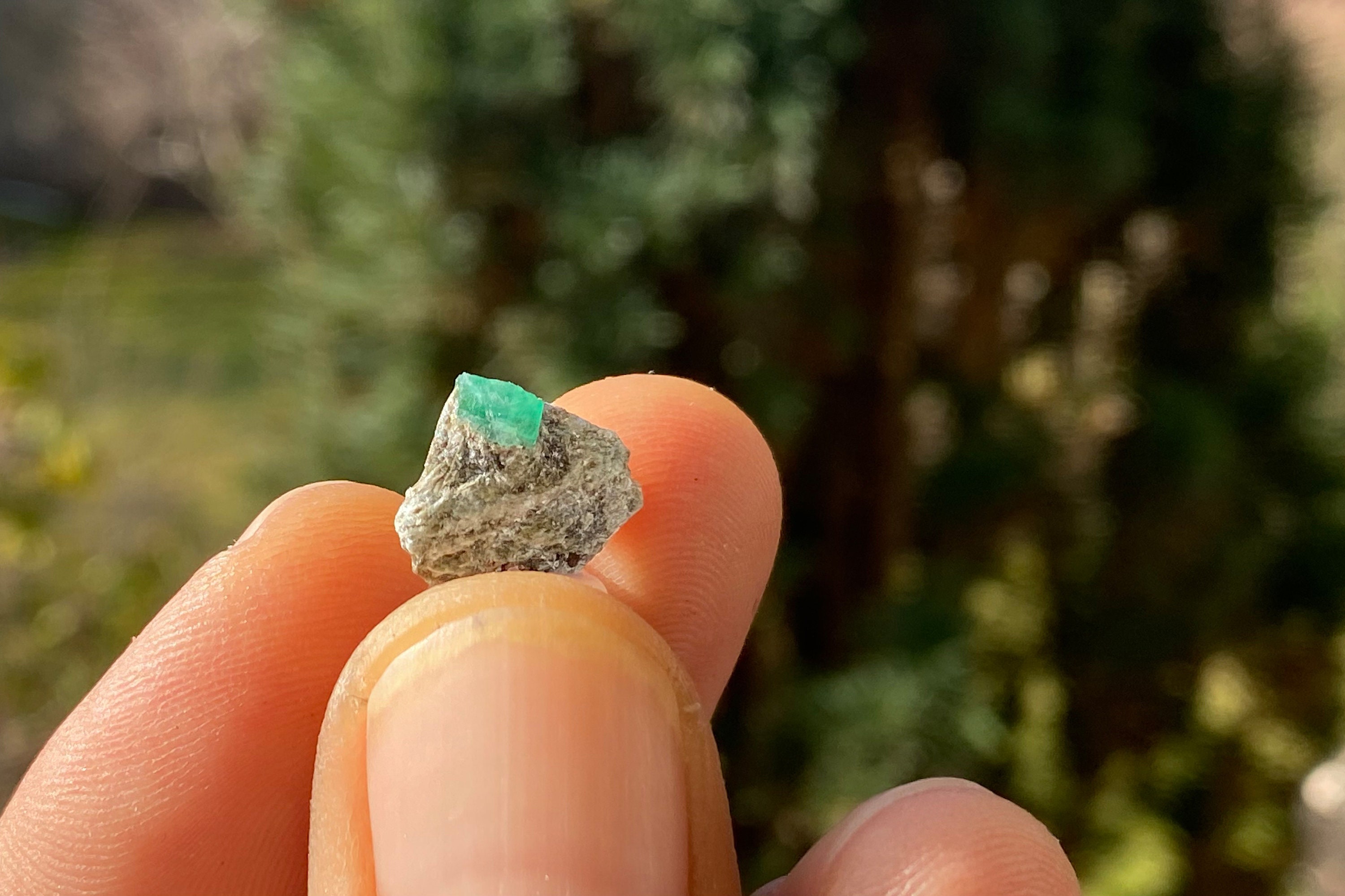 Rare Rarity, Green Emerald on Biotite Slate Matrix, Emerald Grade ...