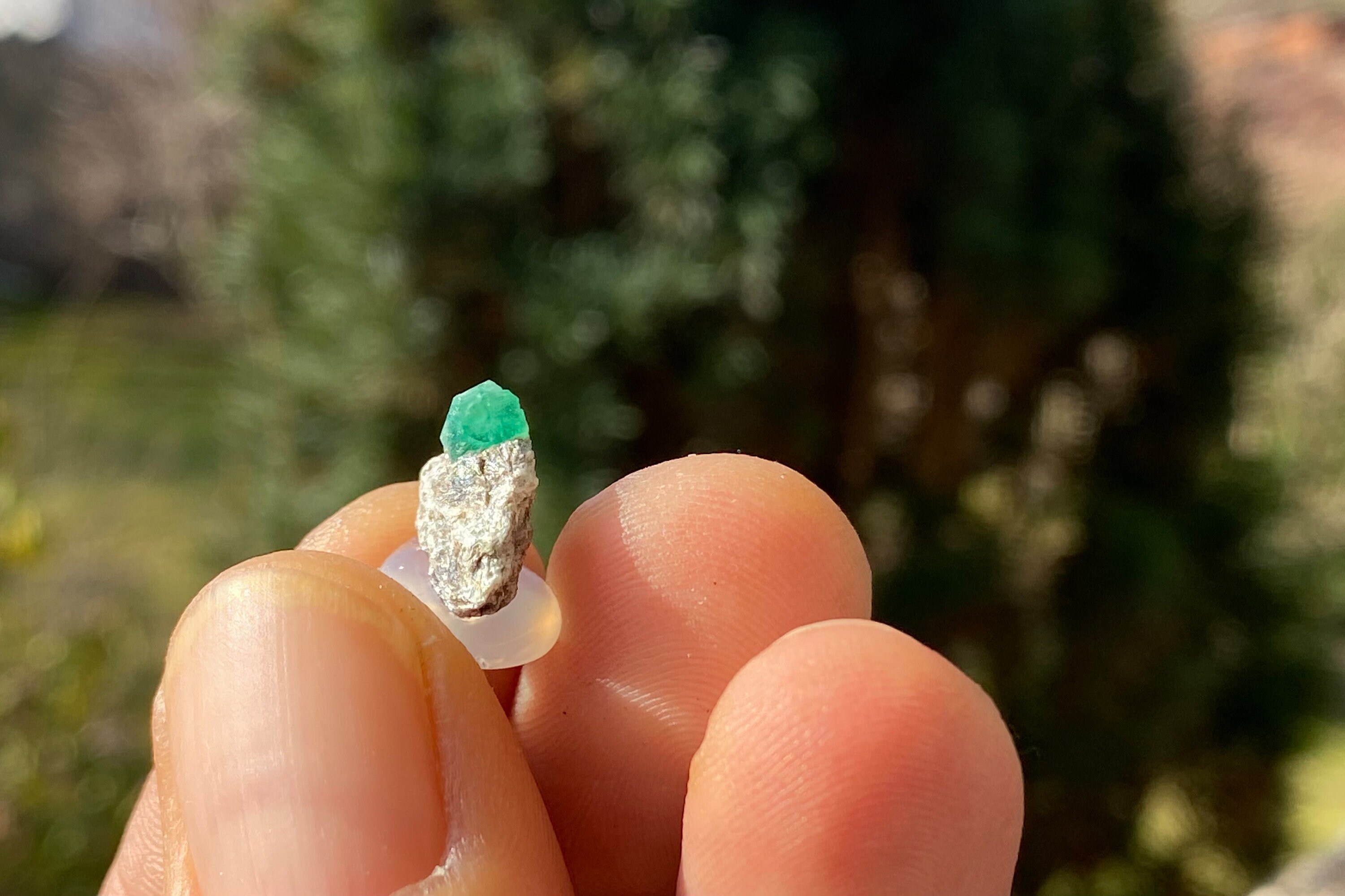 Rare Rarity, Green Emerald on Biotite Slate Matrix, Emerald Grade ...