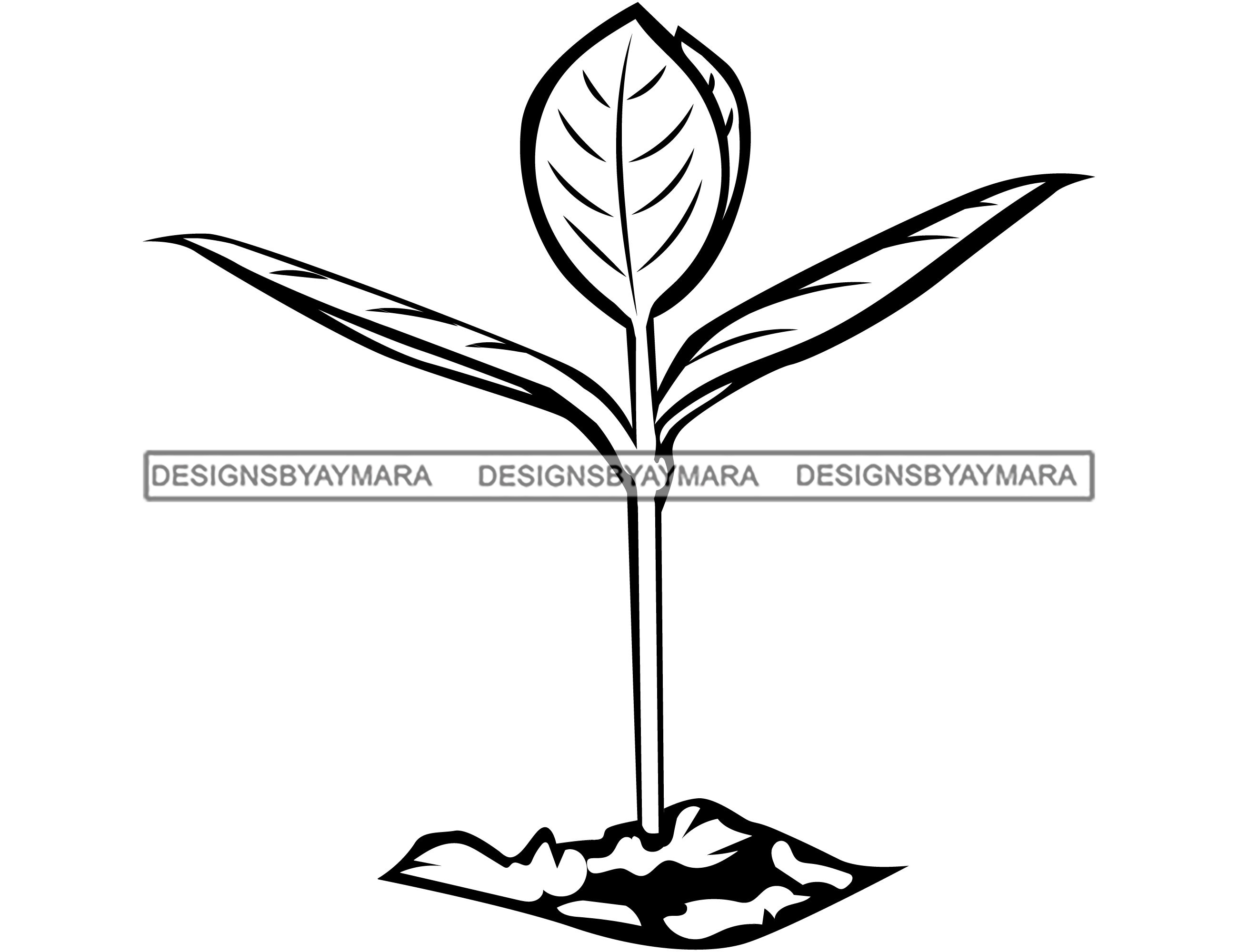 Growing Plant Clipart Black And White