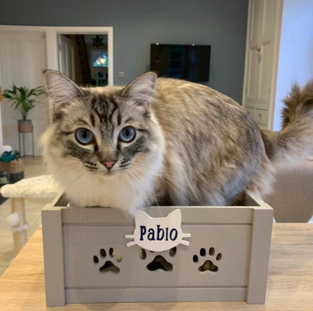 Personalized Cat Toy Box | Handmade Grey Wooden Crate - Etsy
