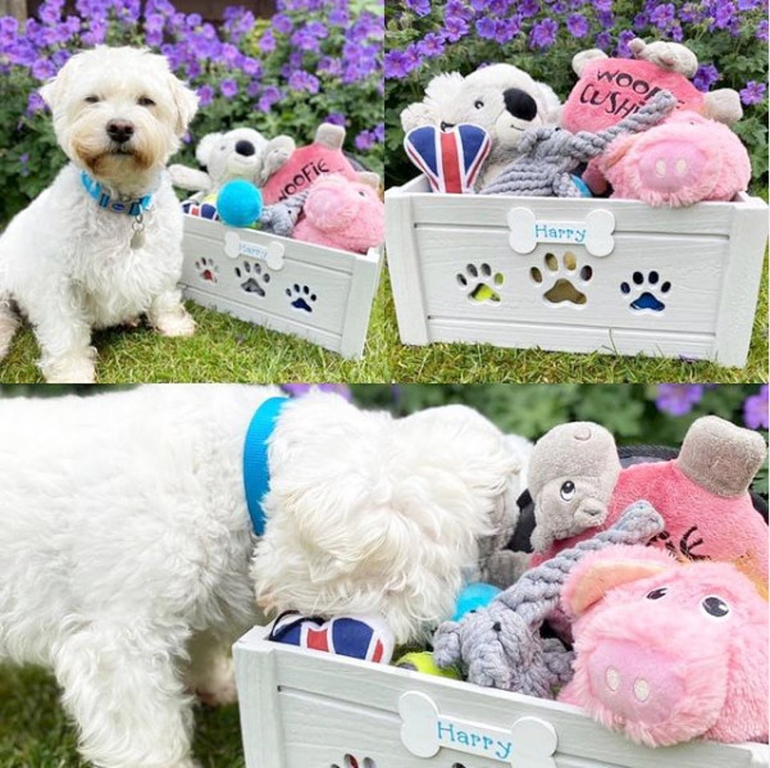 Personalised Toy Box | Dog Box | Gift Box | Dog Crate | Dog Treat ...