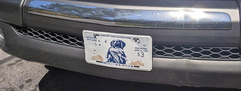 FEDERAL DUCK STAMP License Plate "king Buck" - Etsy