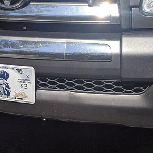 FEDERAL DUCK STAMP License Plate "king Buck" - Etsy