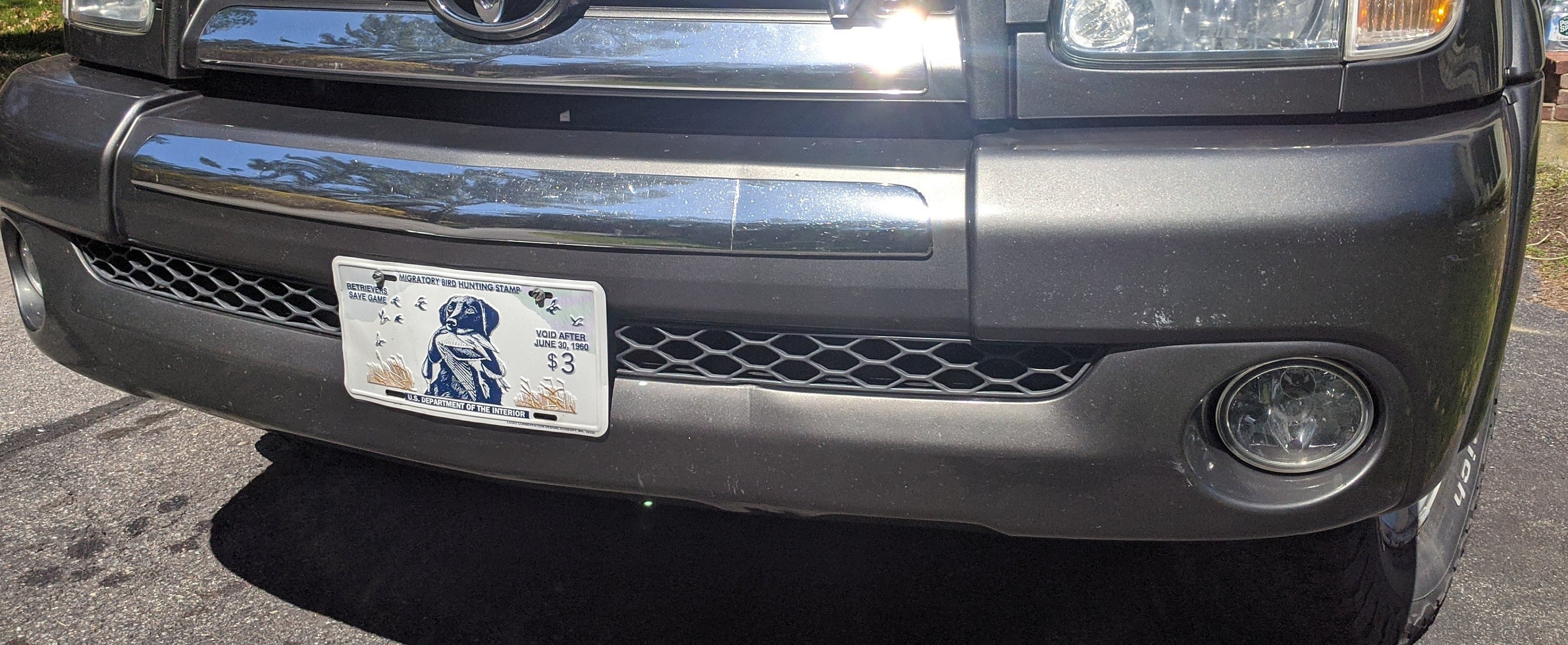 FEDERAL DUCK STAMP License Plate "king Buck" - Etsy