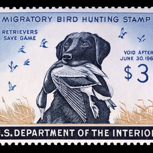 Buck Stamp - Etsy