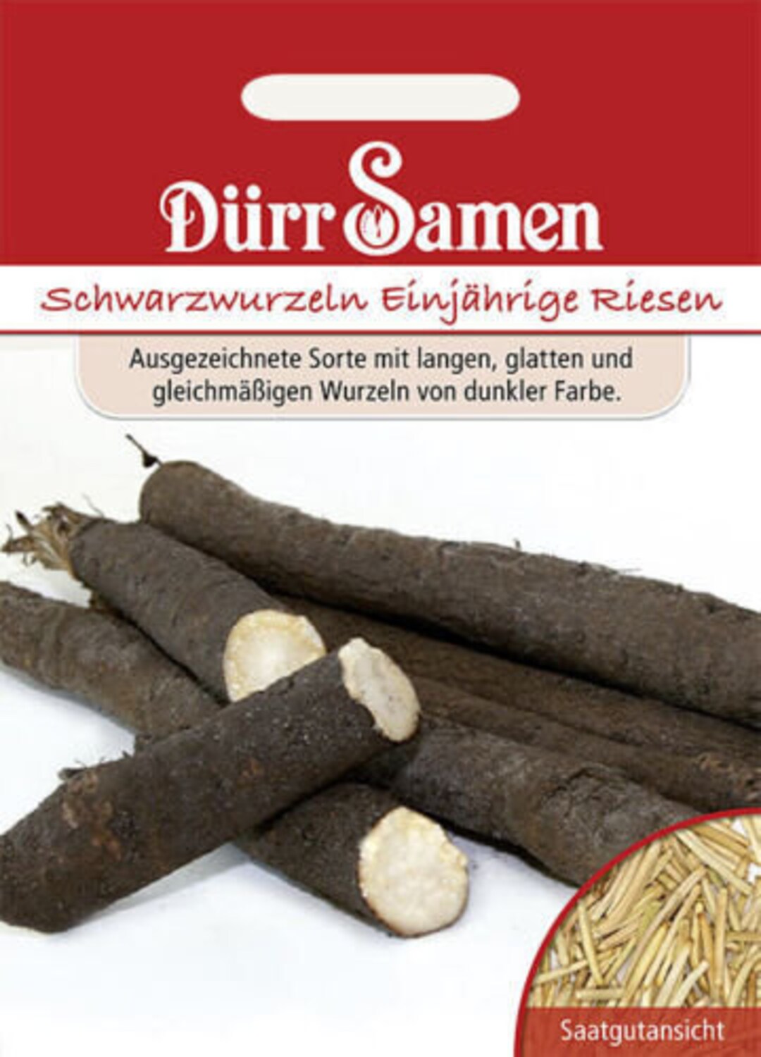 Salsify Annual Giant Seeds From Dürr Seeds 100 Seeds - Etsy Canada