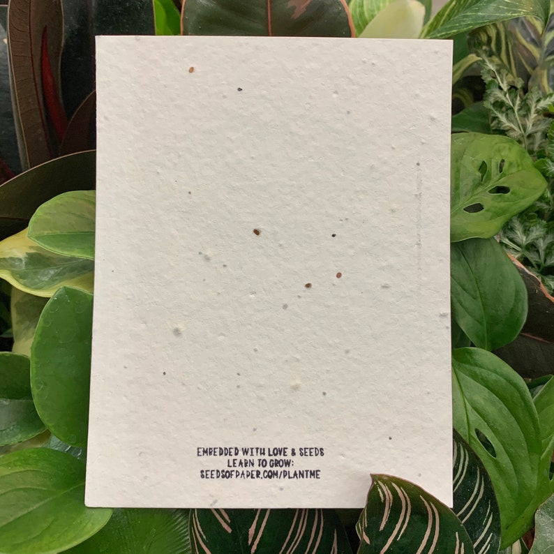 Plantable Greeting Card: Happy Birthday - Etsy