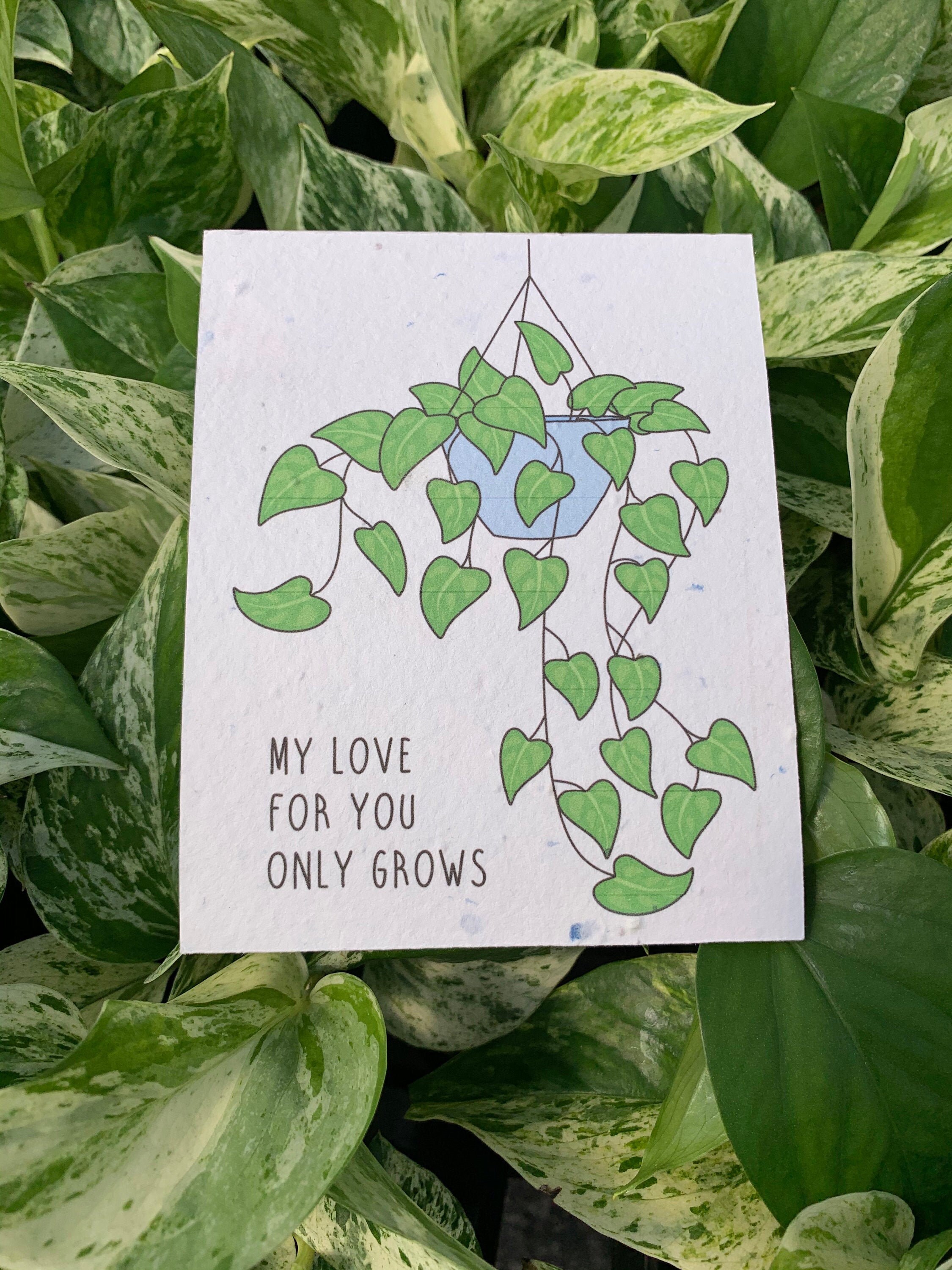 Plantable Greeting Card: My Love for You Only Grows - Etsy