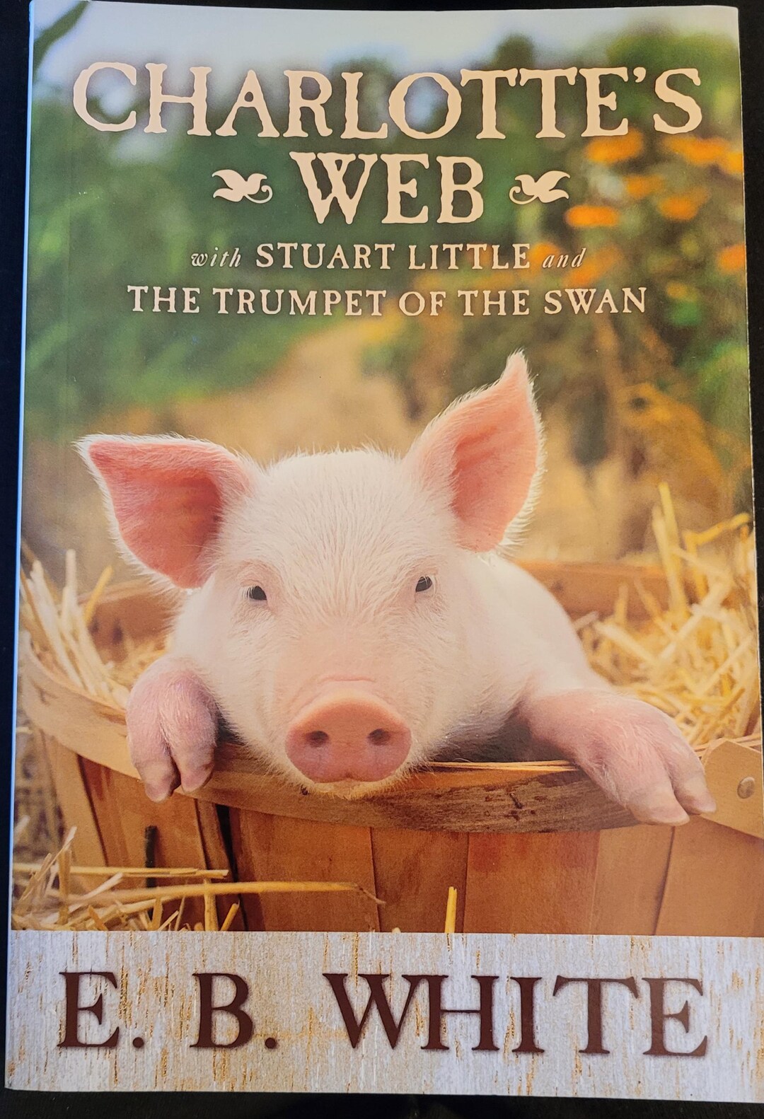 Charlotte's Web With Stuart Litle and the Trumpet of the Swan by E.B ...