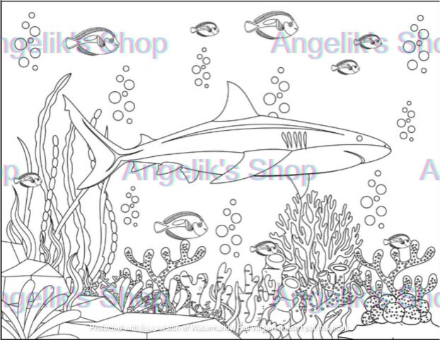 Bundle, Ocean Theme, Ocean Animals to Color, 75 Ocean Animals to Color ...