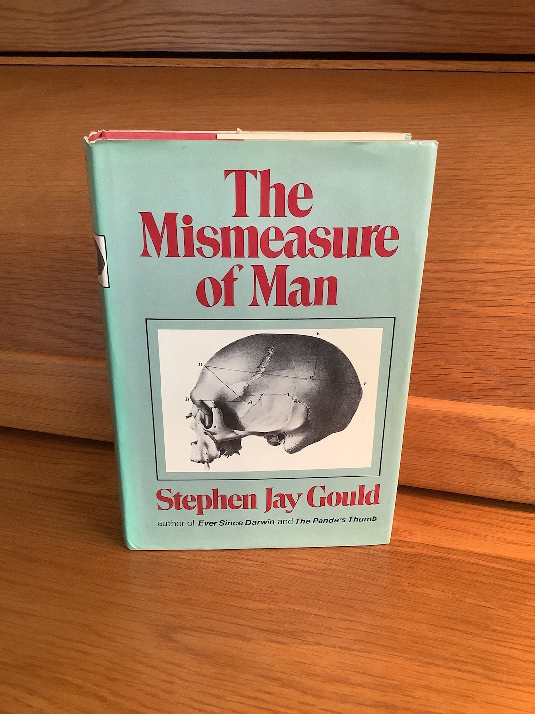 The Mismeasure of Man Stephen Jay Gould 1981 First - Etsy