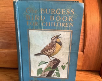 Burgess Bird Book - Etsy
