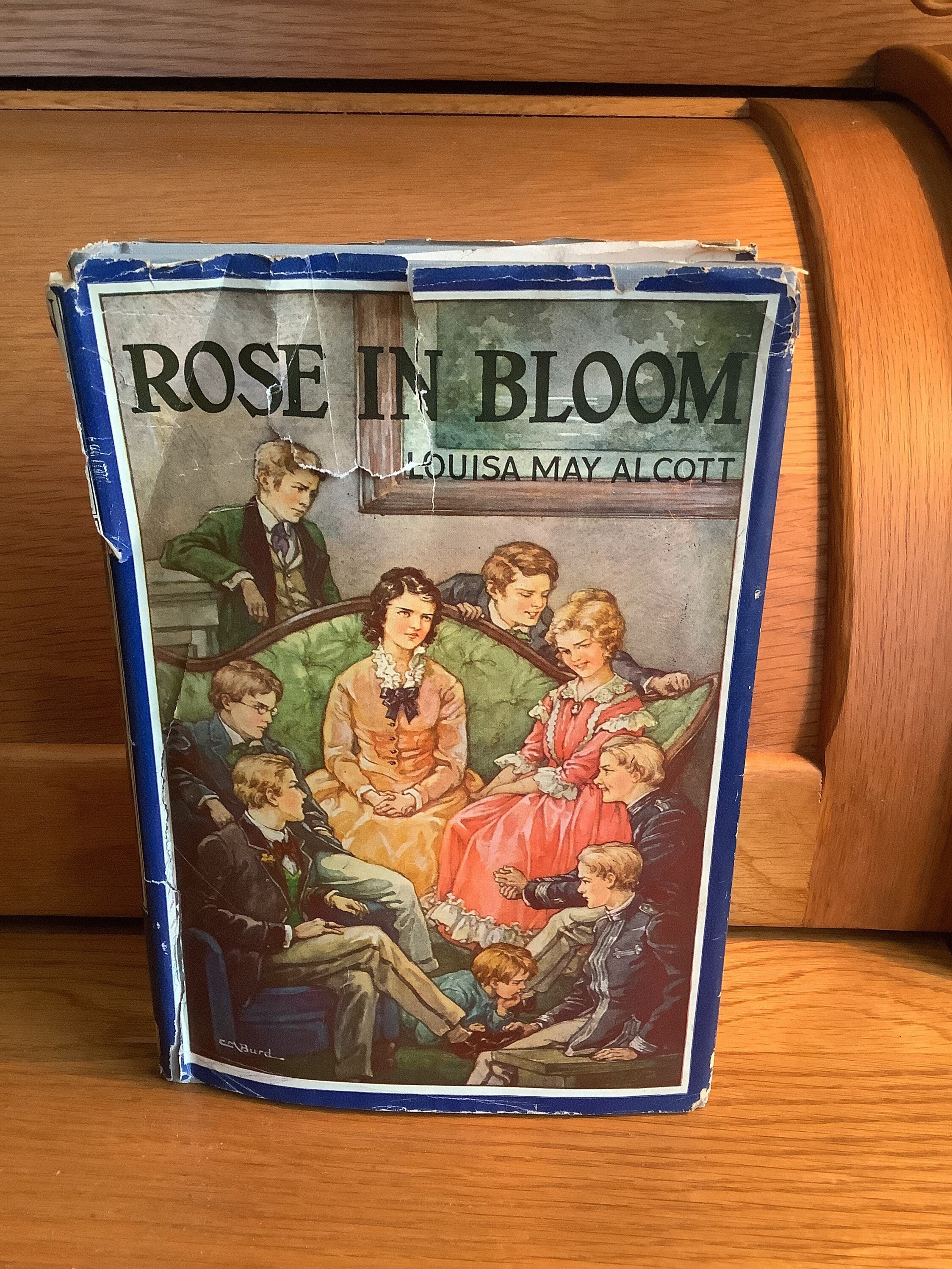 Rose In Bloom Louisa May Alcott