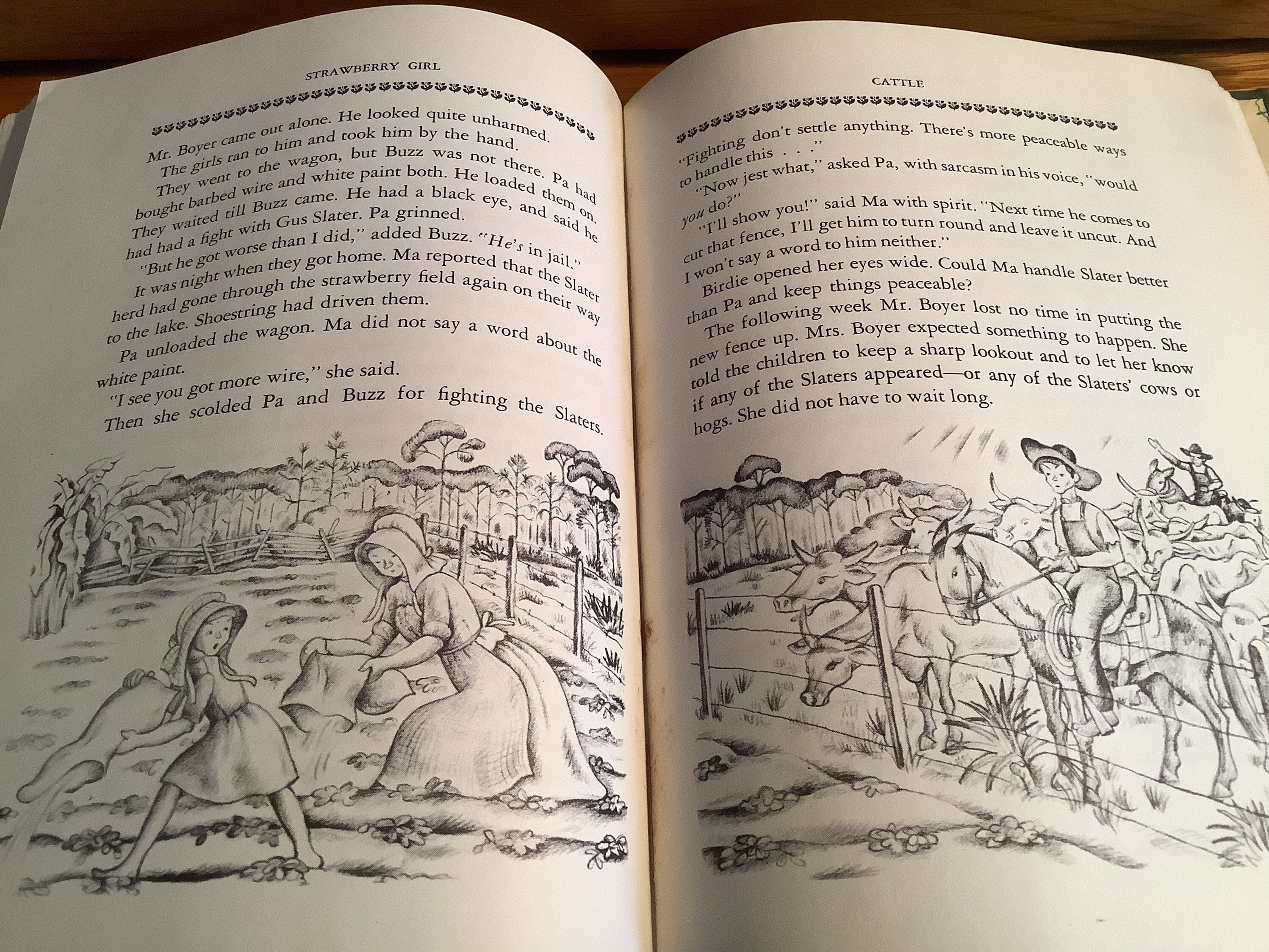 Strawberry Girl by Lois Lenski 1945 First Edition, 10th Printing ...