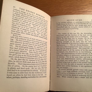 The Desert Horizon by E.L. Grant Watson 1923 Antique Book - Etsy