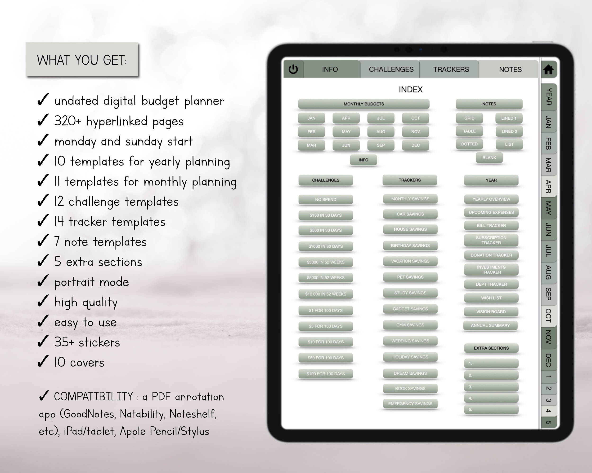 Digital Budget Planner for Goodnotes, Notability, Noteshelf, Etc iPad ...