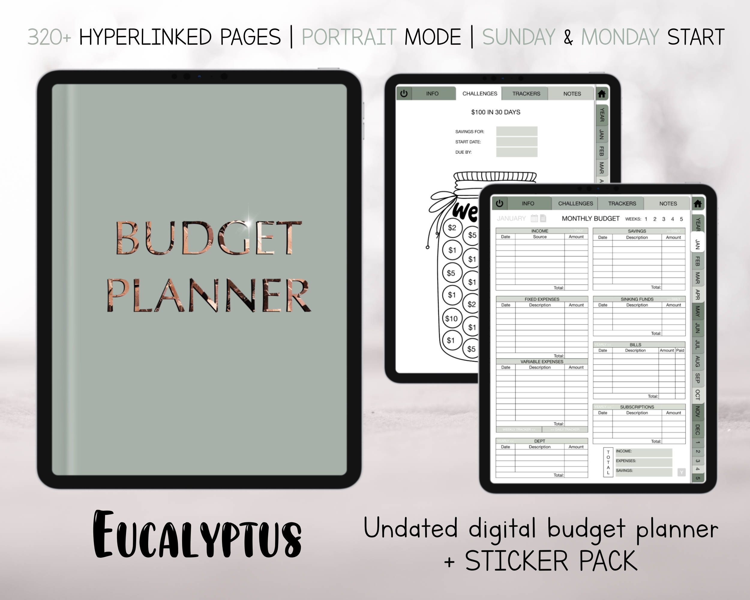 Digital Budget Planner for Goodnotes, Notability, Noteshelf, Etc iPad ...