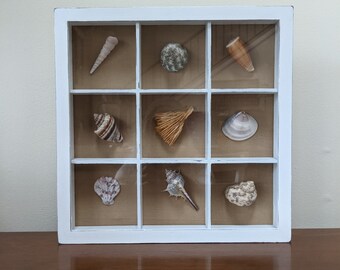 Seashell Shadow Box | Etsy