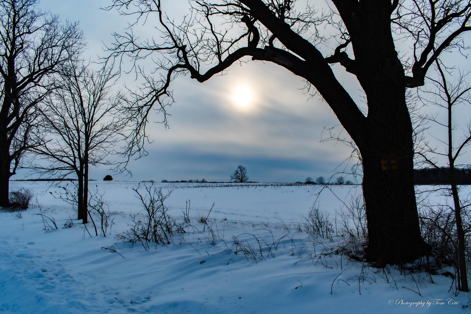 Winter Solitude - Etsy