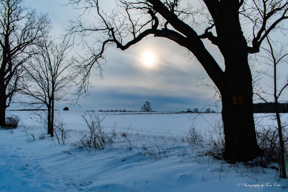 Winter Solitude | Etsy